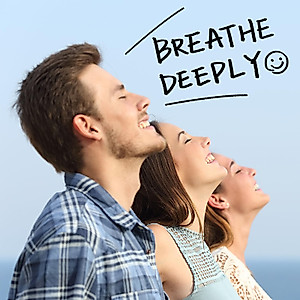 TEARELAE - Mullein Tea Bags For Lungs - 2.65 oz/75g (3g X 25 Bags) - 100% Pure Natural Premium Mullein Leaf Tea - Non-GMO - Caffeine-free - Good For Respiratory System