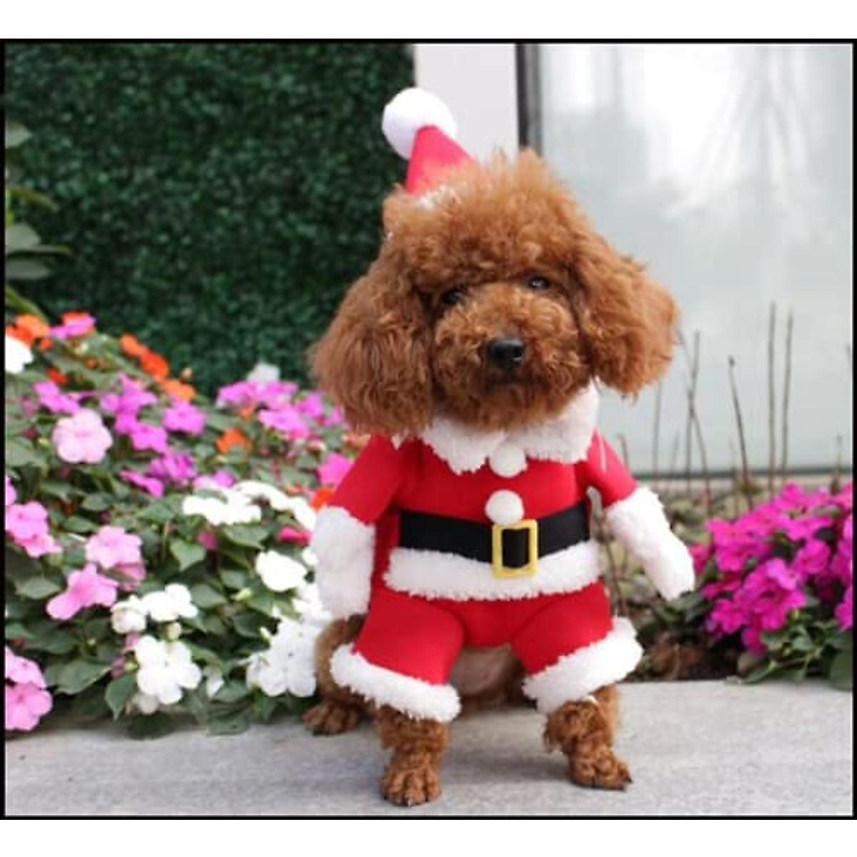 Betreasure Pet Dog Christmas Clothes Santa Claus Dog Costume Winter Puppy Pet Cat Coat Jacket Dog Suit with Cap Warm Clothing for Dogs Cats (Small)