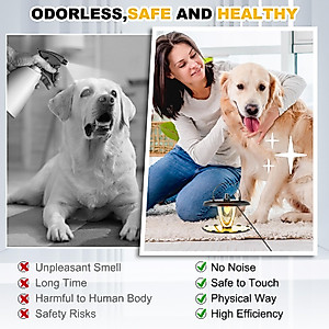 Qualirey 4 Packs Flea Traps with 20 Sticky Disc 12 Bulbs 4 Electric Wires Flea Traps Flea Killer Traps for Inside Your Home Safe Flea Light Trap for Indoor Safe to Pets and Kids