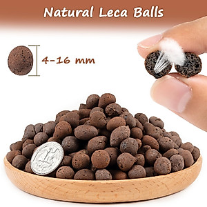 1LB Leca Balls for Indoor Plants, Expanded Clay Pebbles for Plants Hydroponic, Orchid Potting Mix, Soil Amendment, Drainage, Easy Reusability, 4-16mm, includes Gloves