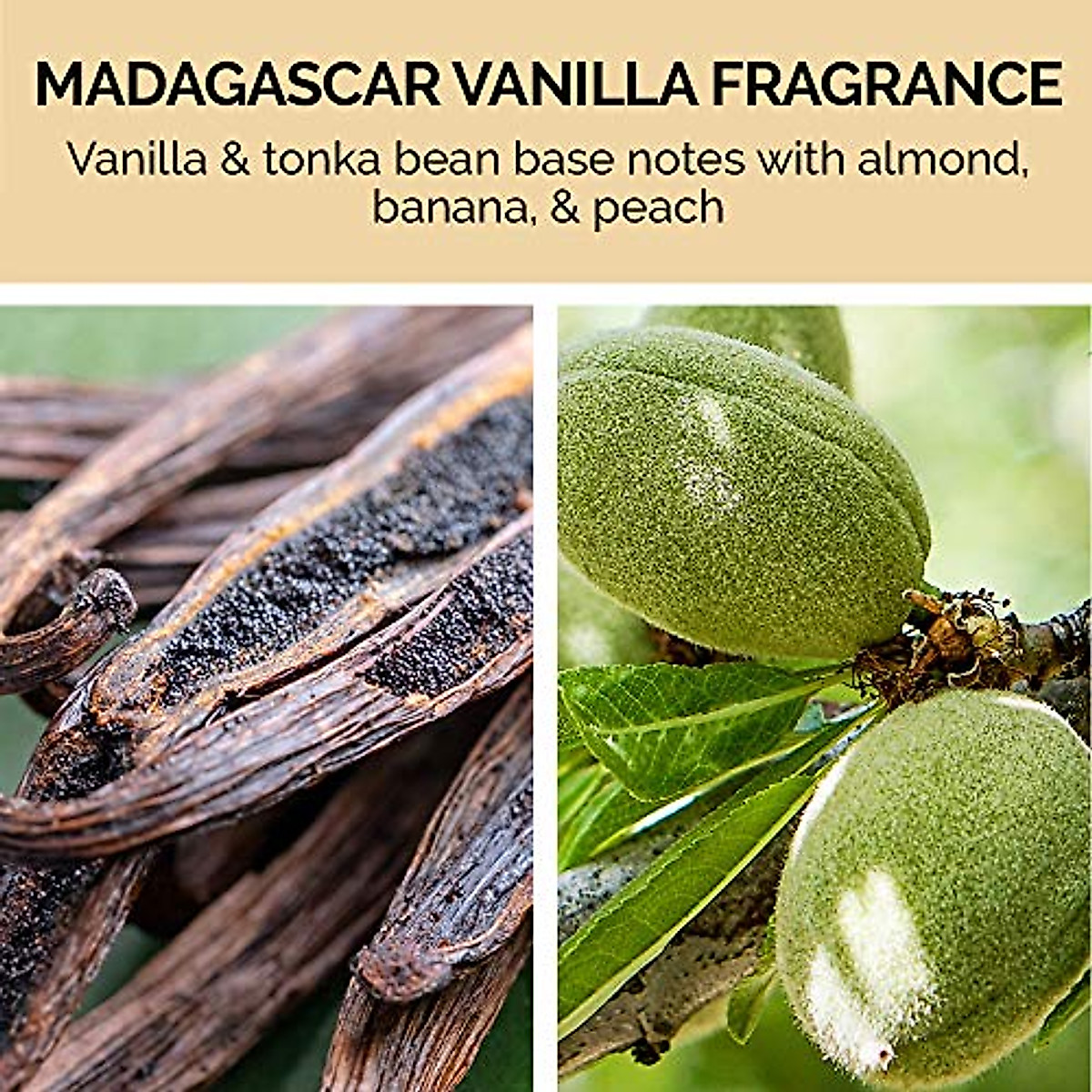 Colorproof SuperPlump Line Volume Conditioner 2 Fl. Oz. Volumizing Sulfate Free Conditioner, Madagascar Vanilla Scent