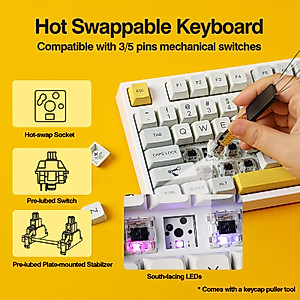 EPOMAKER TH80 Pro 75% Hot Swap RGB 2.4Ghz/Bluetooth 5.0/Wired Gaming Keyboard, with 4000mah Battery, PBT Keycaps, Knob Control for Windows/Mac PS5 PS4 Xbox