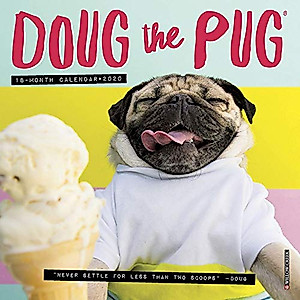 Doug the Pug 2021 Mini Wall Calendar (Dog Breed Calendar)