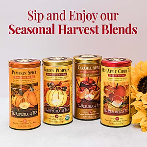 The Republic of Tea - Hot Apple Cider Tea, 36 Tea Bags, Tin | Harvest Herbal Blend | Caffeine-free