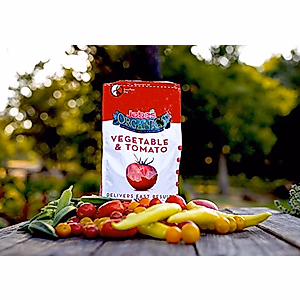 Jobe's 09023NAAZ Granular Plant Food Vegetables & Tomato, 16 lbs