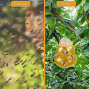 Natural Wasp Trap 2 Packs, Bee Catcher for Hornets, Yellow Wasp Nest, Reusable & Safe Wasp Solution, Outdoor Trap