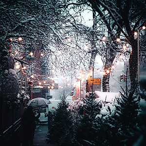 Harrms String Light Poles for Outdoors,10FT Stainless Steel Strong Wind Resistant, LED Solar Hanging String Lights Used for Patio, Courtyard, Garden, Wedding Cafe Party Light Pole Hanger