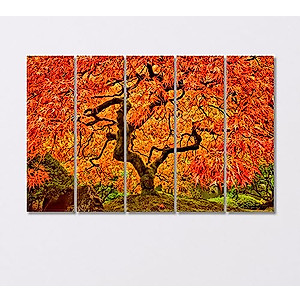Japanese Maple in Autumn Canvas Print 5 Panels / 36x24 inches