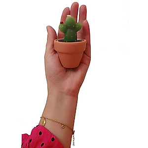 Succulent Candles, Novelty Cactus Tealight Candle Baby Shower Candle Decorations for Party Favors Terrarium Cacti candels Home Decor…