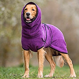 Puppy Clothes Girl Size Medium Autumn and Winter Cute Pet Clothes Dog Thick Warm Clothing Supplies