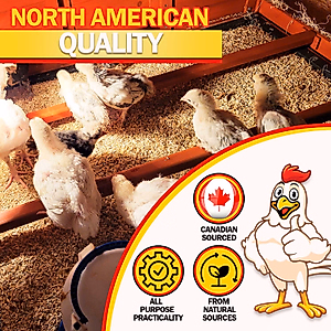 Hemp Bedding for Chicken Coop, with Anti Odor Herbs - Small Animal Litter for Guinea Pig, Hamster, Bunny Rabbit, Snake, Ferret, Tortoise, Rat and More - Pine Wood Shavings Alternative Poultry 1cuft