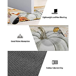 Thanksgiving Bath Mat for Tub,Non Slip Bathroom Floor Runner Rug Quick Dry & Absorbent Diatomaceous Earth Kitchen Shower Sink Washable Doormat,Fall Pumpkins Autumn Fall Leaves Oil Painting 16"x24"