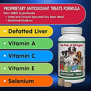 Nzymes® Antioxidant Dog Treats - for Dogs Joints, Hips, Paralysis, Skin, Coat, Hair Loss, Aging, Digestion, Neurological, Seizures - Dog Treats for Large Dog - 60 Treats - Made in The USA