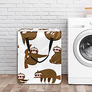 Funny Sloths Print Collapsible Laundry Hamper, 60L Waterproof Laundry Baskets Washing Bin Clothes Toys Storage for Dorm Bathroom Bedroom