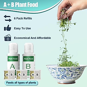 Hydroponics Nutrients (800ml in Total), Plant Food A & B Hydroponics Supplies, Indoor Plant Fertilizer for Hydroponics Growing System, Growing System Accessories for Vegetables Fruits Flowers Thrive