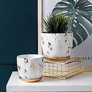 ARTIBETTER 1pc White Fairy Gardening Plant Orchid Succulent Plants Bonsai Planter Holder Cactus Modern Retro Pot: Supply Office Saucers Pots Marbling Vase Flowerpot Ceramic for Pot