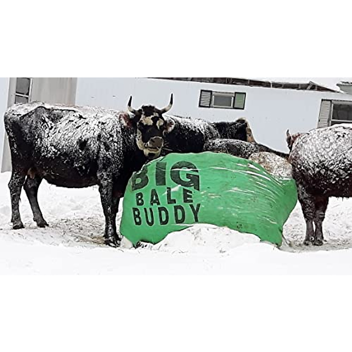 Big Bale Buddy Large