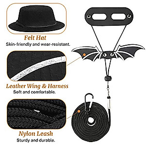 VavoPaw Bearded Dragon Lizard Leash Harness (S/M/L 3 Pack), Adjustable Leash Bat Wings Costume Accessories with Hat & Bow Tie Collar for Lizard Reptile, Gecko, Iguanas, Amphibians & Small Animals