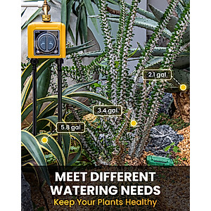 RAINPOINT Sprinkler Timer, WiFi Hose Timer, Smart Water Timer for Garden, Drip Irrigation Controller System with Wi-Fi Hub Automatic Manual Watering, Alexa APP Voice Control, V2, 2023 Release