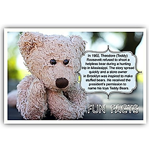 AMERICANA FUN FACTS postcard set of 20 postcards. Iconic America and American culture post card variety pack. Made in USA.