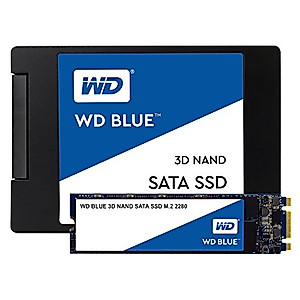 Western Digital 1TB WD Blue 3D NAND Internal PC SSD - SATA III 6 Gb/s, M.2 2280, Up to 560 MB/s - WDS100T2B0B