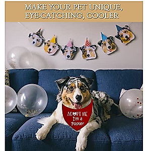 JXGZSO 1 Piece Adopt Me I'm a Foster Dog Bandana Adopted Dog Bandana Baby Dog Announcement Dog Bandana (I'm a Foster D)