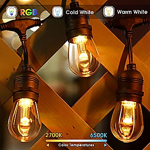 EZYDAYYI String Lights for Outside, 48 ft RGB LED Outdoor String Lights Waterproof Cafe Lights Patio Lights with Remote and 15 Shatterproof Bulbs, Backyard Outdoor Hanging Lights for Patio, Garden