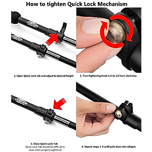 Cascade Mountain Tech Trekking Poles - Carbon Fiber Folding Walking Sticks with Quick Adjustable Locks, Black (Set of 2)