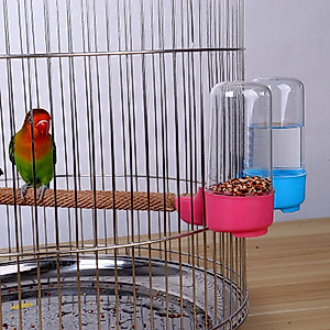 Meprotal 2pcs Automatic Bird Feeders, Bird Water Dispenser for Cage, Bird Water Bottle Drinker Hanging Seed Food Container Dispenser for Parrots Budgie Hamster 200ml (Blue & Pink)