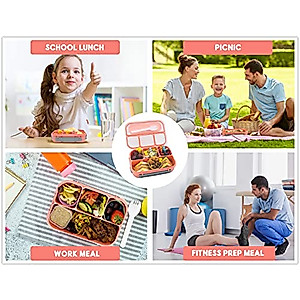 Bento Lunch Box for Kids Adult,4 Compartment Bento Box Containers with Fun Accessories Thick Silicone Food Cake Cups, Cute Food Picks for Kids,Easy to Clean (PINK)