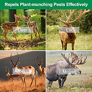 36 Pack Deer Repellent - Natural Deer Repellent for Plant, Deer Deterrent, Peppermint Oil Keep Deer Away from Outdoor Garden Lawn Tree Yard, Moose Repellent, Safe for Deer and Plants, Ready to Use