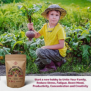 10 Rare Beet Seeds Variety Pack for Planting Indoor & Outdoors 1000+ Heirloom Non-GMO Bulk Beets Gardening Seeds: Chioggia, Detroit Dark Red, Sugar, Cylindra, Golden, Bulls Blood, White Albino & More