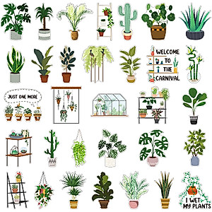 Copkim 32 Pieces Bulk Plant Fridge Magnets Cute Monstera Cactus Refrigerator Magnets Office School Whiteboard Magnet Christmas Plant Lover Gifts Green Vibrant Decoration