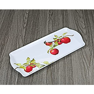 Calypso Basics Sanswich Reston Lloyd Collection by Sandy Clough Melamine Tidbit Rectangular Tray. Harvest Apple, Multicolor (06999)