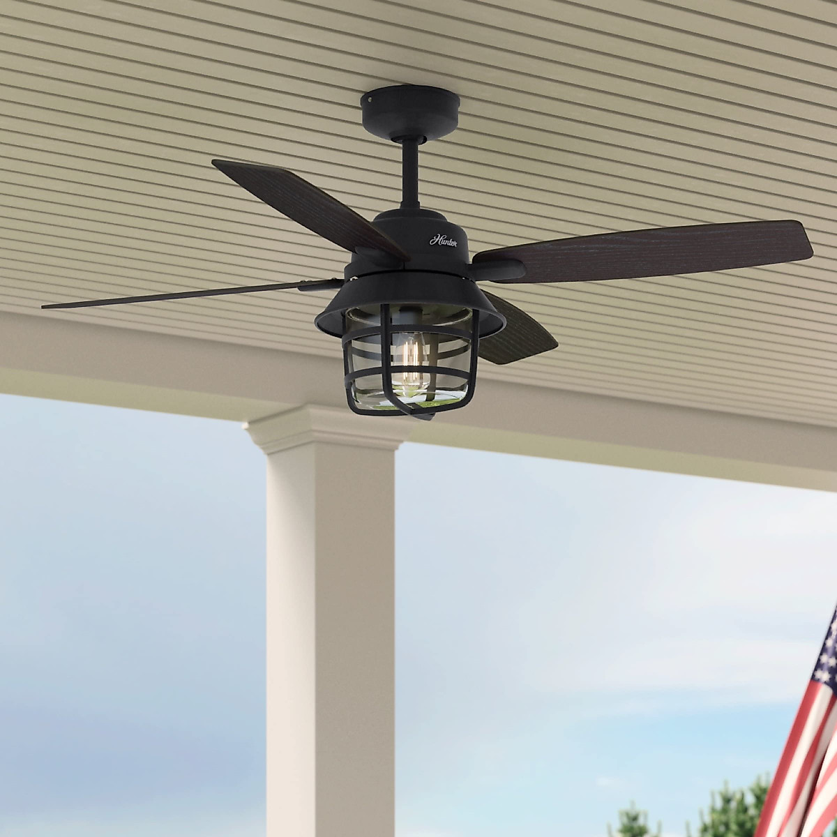 Hunter Fan Company 50391 Hunter Port Royale Ceiling Fan with LED Light and Remote Control, Natural Iron Finish, 52