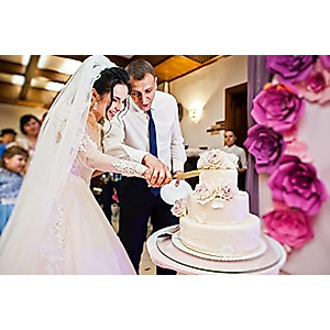 Terra Artisan Gold Cake Cutting Set (2 Pieces), Stainless Steel, Elegant Cake Cutting Set for Wedding, Cake Knife and Server set, Perfect For Wedding, Bridal Shower, Graduation, All in a Giftable Box