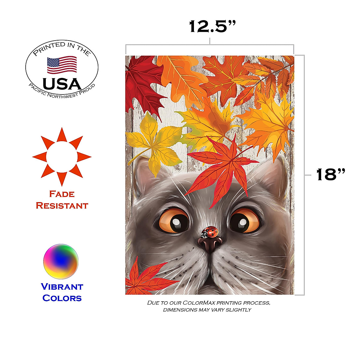 Toland Home Garden 1112655 Fall Cat and Ladybug Fall Flag 12x18 Inch Double Sided for Outdoor Cat House Yard Decoration