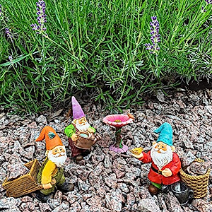 Mood Lab Miniature Gardening Gnomes Set of 4 pcs - 3,5" H Garden Gnome Figurines & Accessories Kit - Outdoor or House Decor