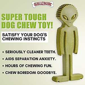 Bullibone Alien Bone: Chew Toy for Aggressive Chewers and Large Dogs