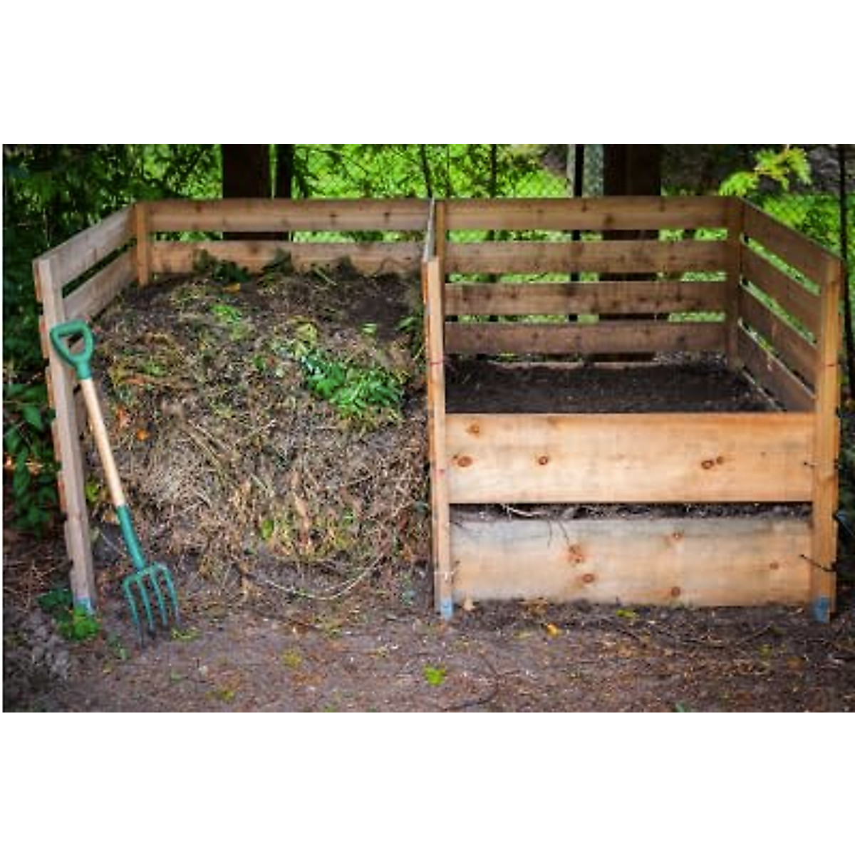 HomeGrownWorms - 250+ (1/4LB) Live Red Wiggler Composting Worms - Live Delivery - Vermicomposting Garden Red Wrigglers - Eisenia Fetida - Wiggle Worm Farm