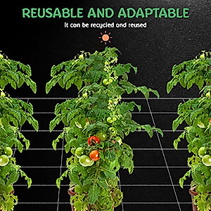 Seedfactor 5 x 15 ft. Plant Trellis Netting, Heavy-Duty Polyester Grow Net, Garden Trellis Netting with Square Mesh for Climbing Plants, Vegetables, Fruits, and Flowers, 1-Pack