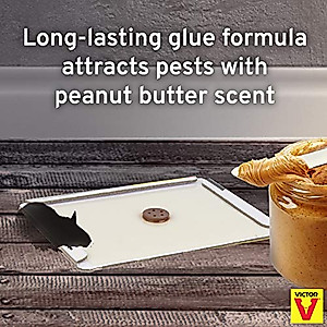 Victor M668 Hold-Fast Mouse Traps-48 Glue Trap,white