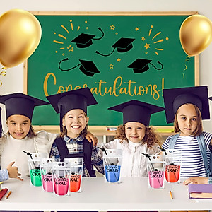 Lallisa Graduation Party Supply Drink Pouches for Adults with Straws Plastic Smoothie Bags Translucent Reclosable Beverage Juice Milk Tea Coffee Pouches for Adults Student School(48 Pcs)