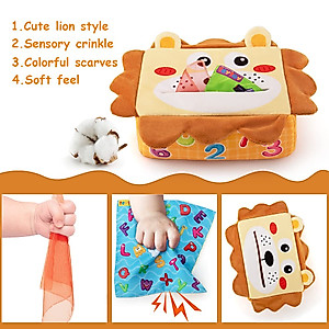 Magic Baby Tissue Box Toy,Funny Sensory Toys for Toddlers,Montessori Toys for Babies 6-12 Months,Soft 6-9-12-24 Month Old Baby Toys,Early Learning Infant Toys Gifts with Crinkle Squares Play Scarves