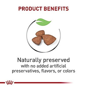 Royal Canin Size Health Nutrition X-Small Puppy Dry Dog Food, 14 lb bag