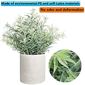 ANFU Fake Plant Decor Mini Artificial Potted Faux Plants, Artificial Eucalyptus Faux Boxwood Fake Rosemary for Room Bathroom Kitchen Farmhouse Garden Home Office Decor (3, Flocking Artificial Plants)