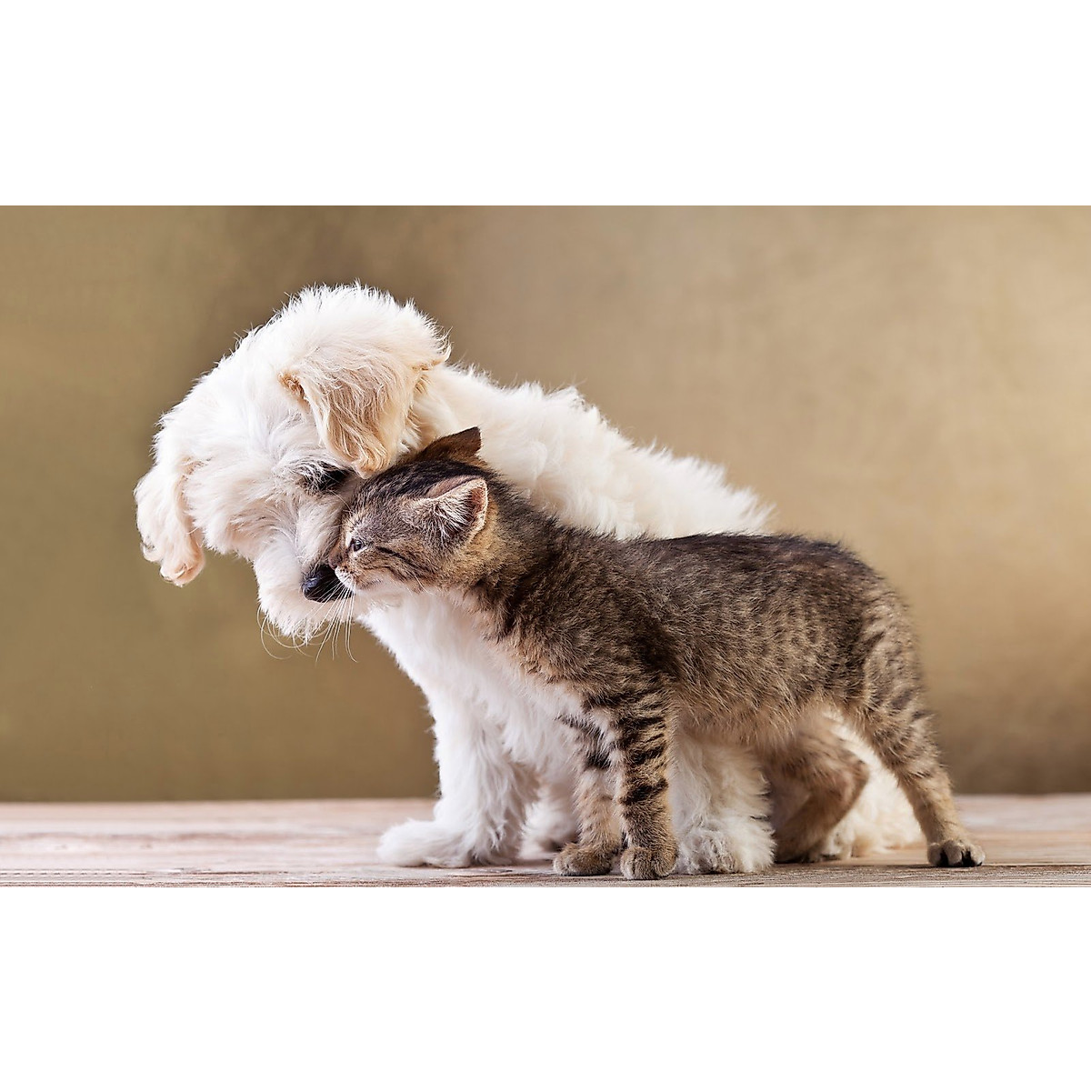 Joint Support for Cats - PET Hip and Joint Care - for Cats and Dogs - Healthy Choice - Chewy Treat - cat Vitamins and Supplements Senior - 2 Bottle (240 Chews)