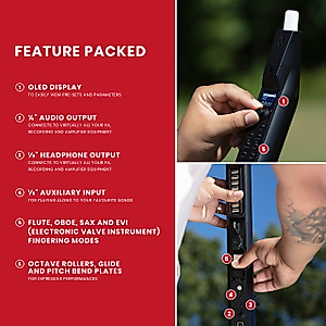 AKAI Professional EWI Solo - Electronic Wind Instrument With Built-in Speaker, Rechargeable Battery, 200 Sounds and USB MIDI Connectivity,Black