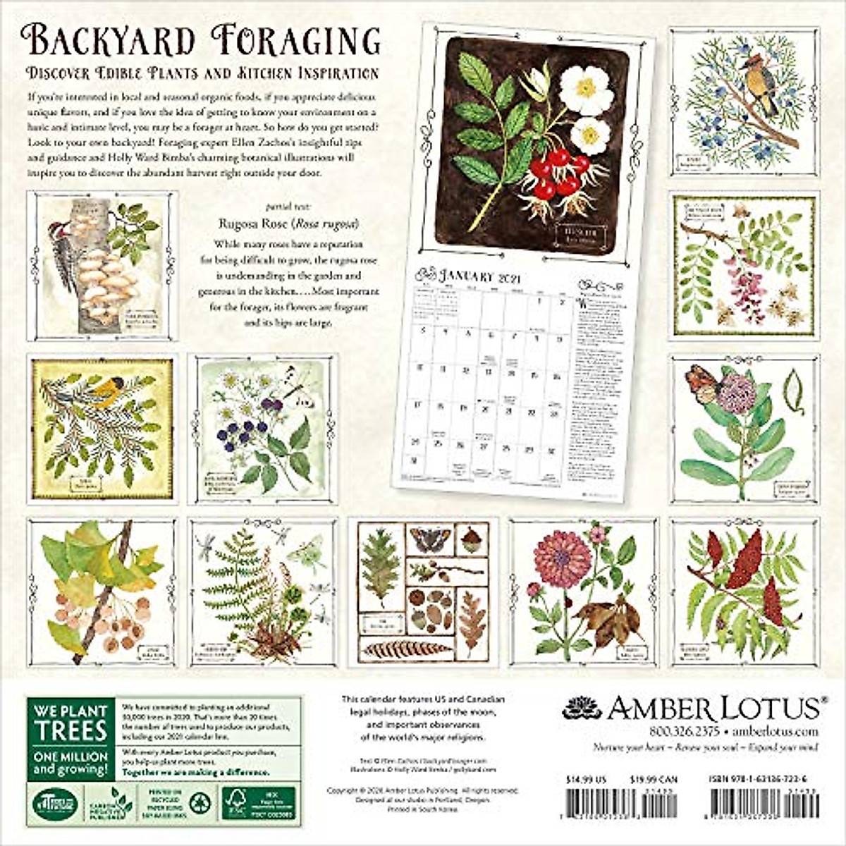 Backyard Foraging 2021 Calendar: Discover Edible Plants and Kitchen Inspiration