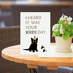 Dapofajo Birthday Card from Cat, Pun Cute Birthday Card for Friend, Funny Cat Gift Birthday, Cat Lover Birthday Card, Cat Dad Cat Mom Card…